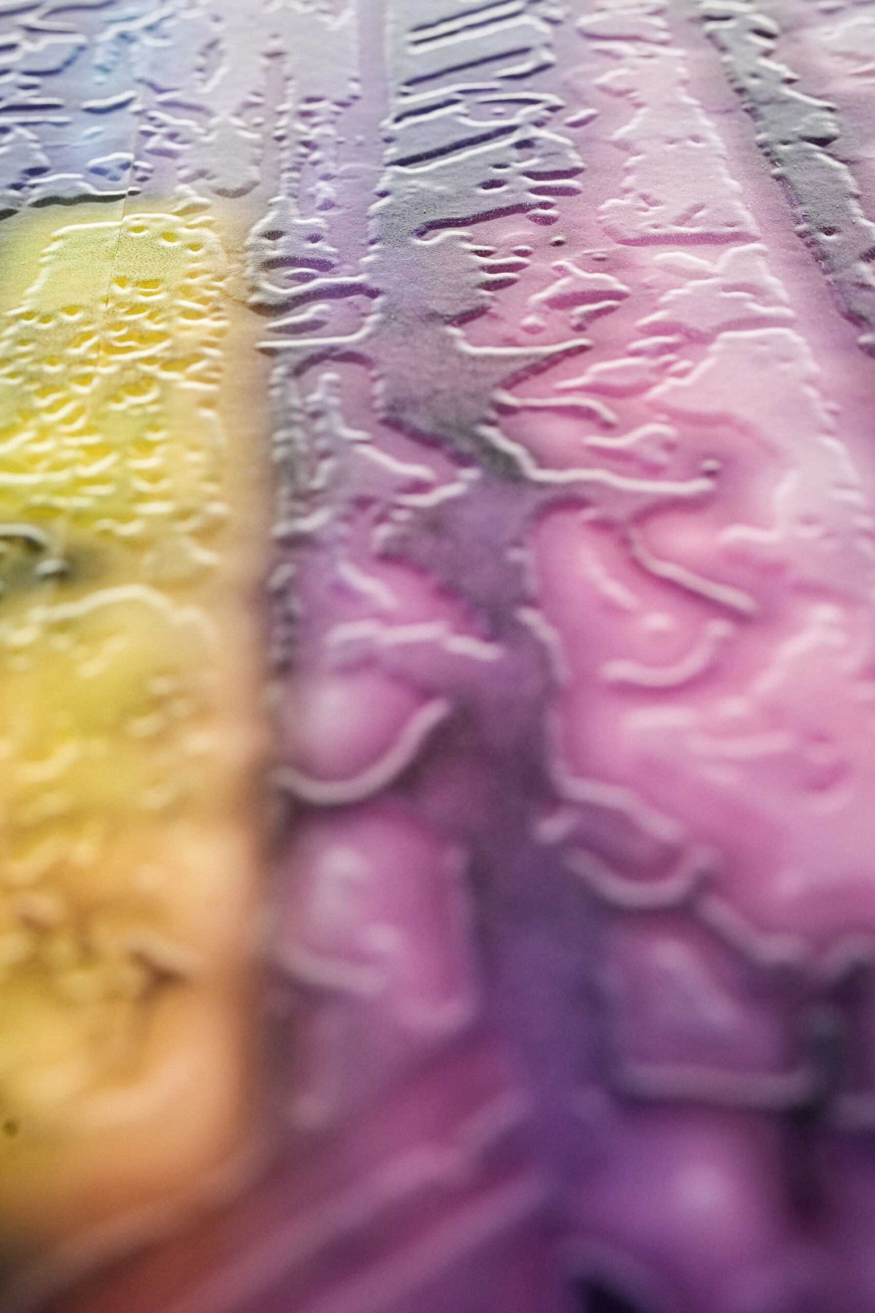 Western Digital – Embo Design